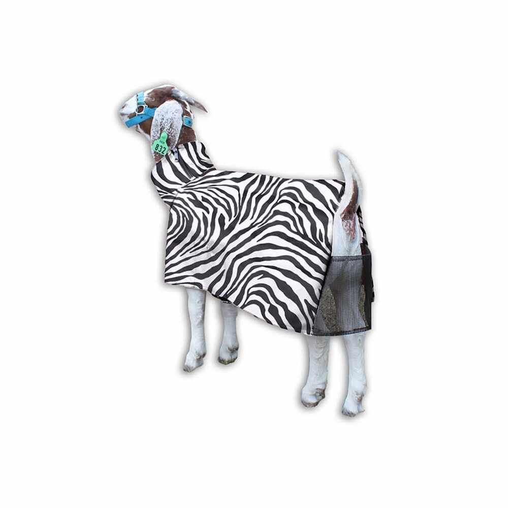 Sheep Blanket Zebra MED — Bushland Ranch Store